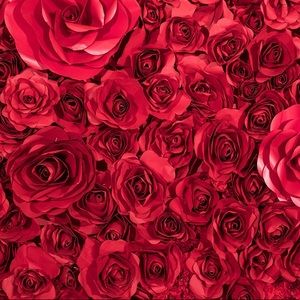 Party Supplies | 7x5ft Red Roses Backdrop | Poshmark
